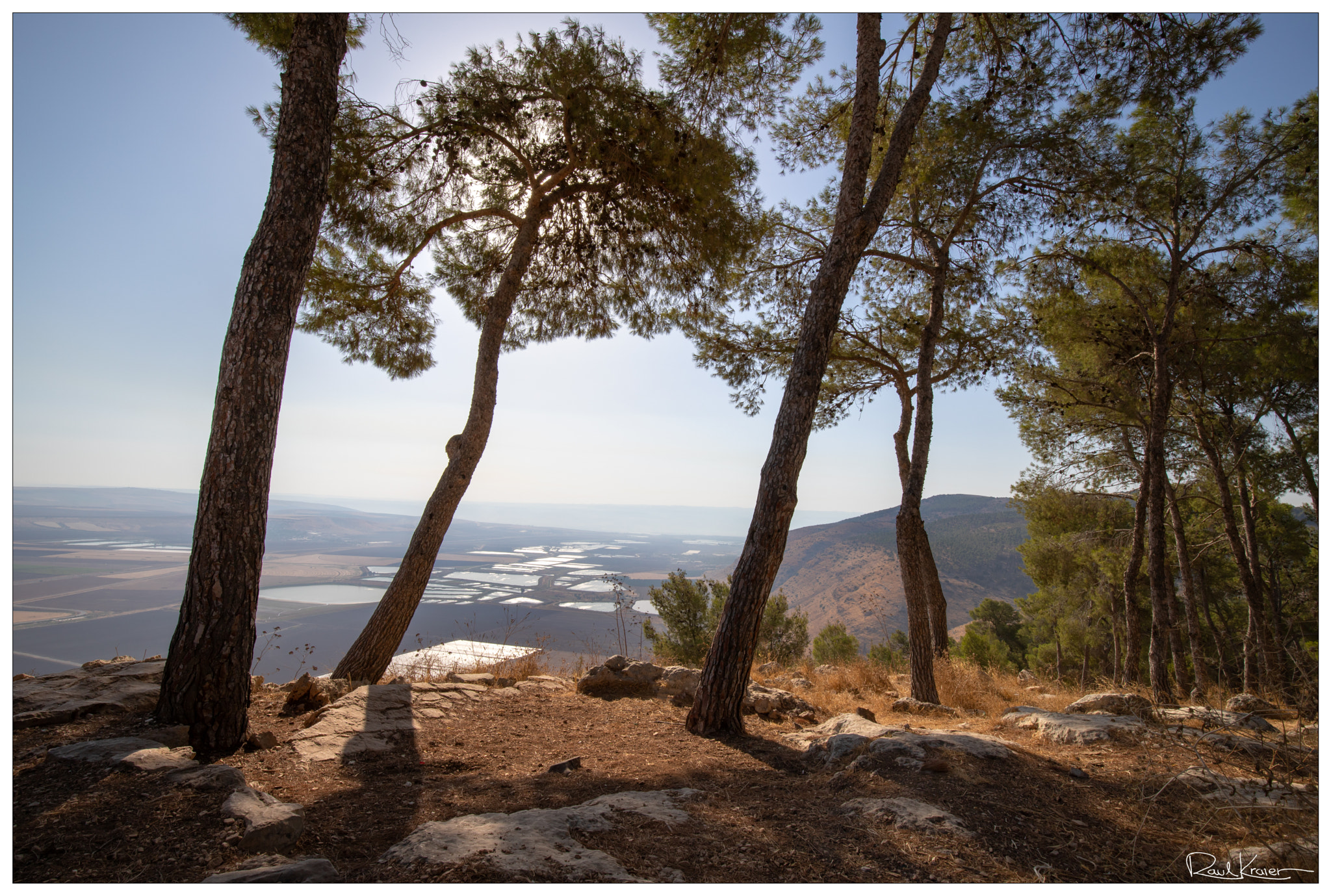 Pine Trees Overlooking Valley Landscape | landscape photo by Raul ...