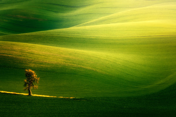 Let there be by Daniel Bear | 500px