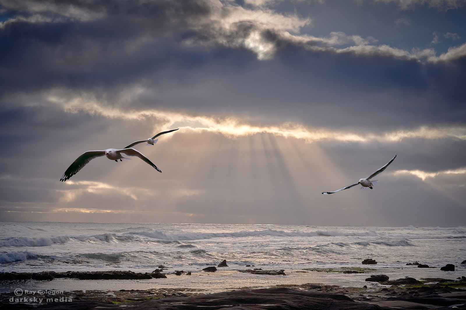 Everyday Angels by Ray Cologon / 500px
