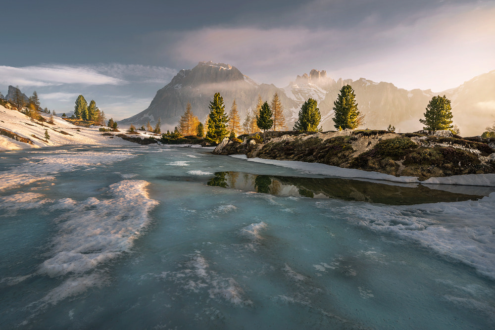 This belong to us by Dino Marsango / 500px