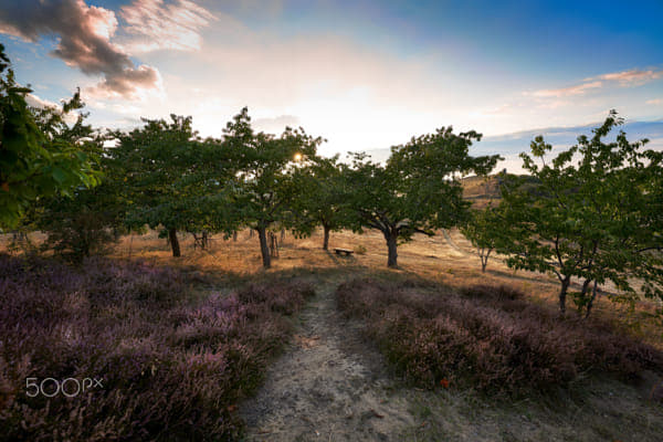 Magic Place by Mike Ahrens | 500px