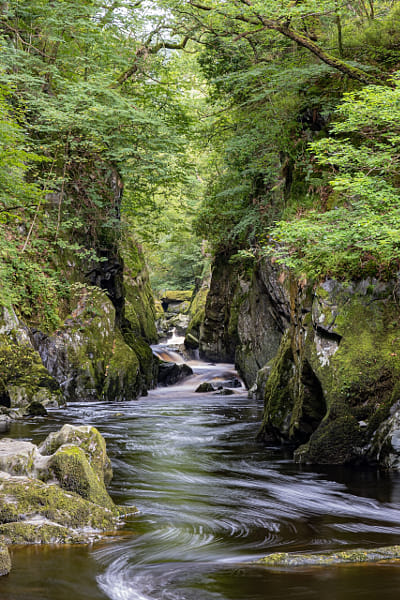 Untitled by Craig Swanson | 500px