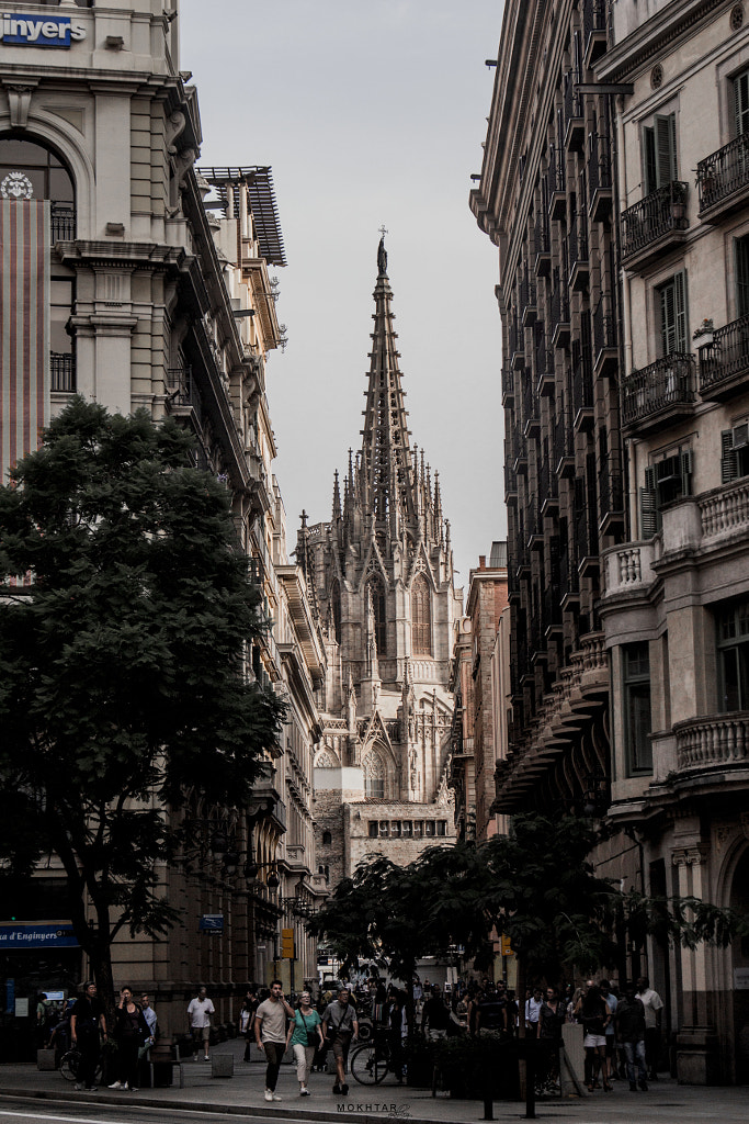 Gothic Cathedral Spire in European City | city photo by Mokhtar gallery ...