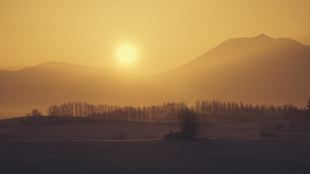 Sun rise in Biei by yuming yang / 500px