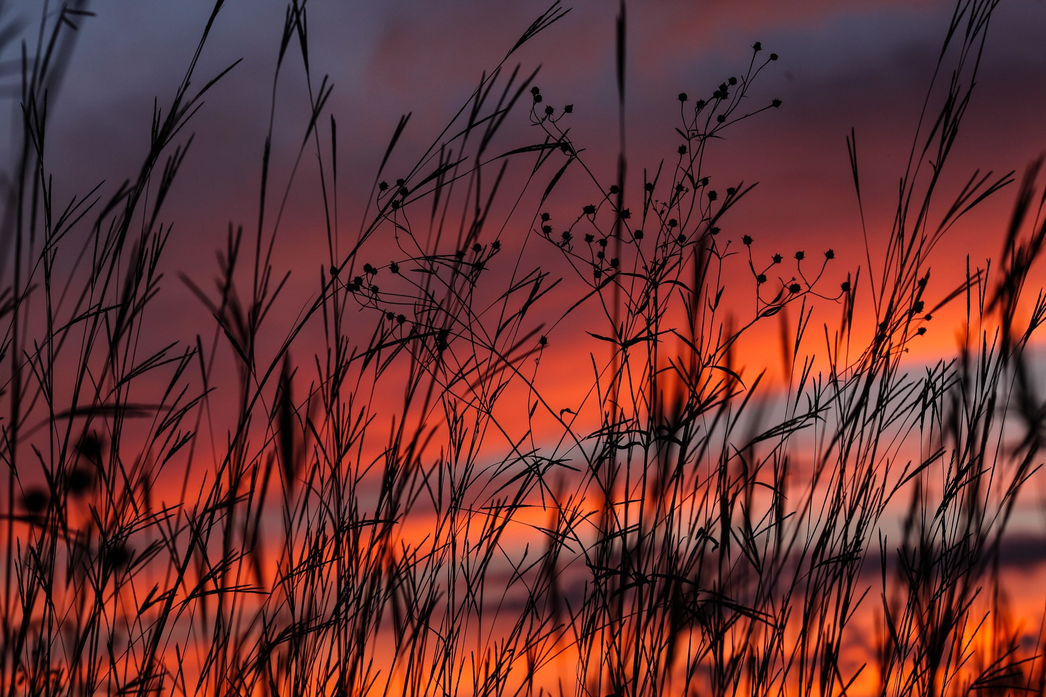 September Silhouette by Jim Crotty / 500px