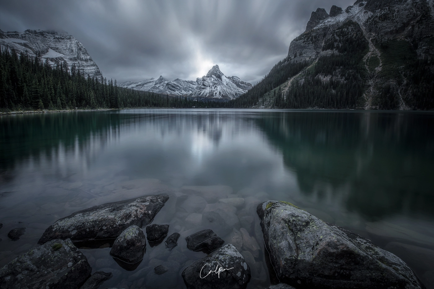 O'hara in Rain by Carl Pan / 500px