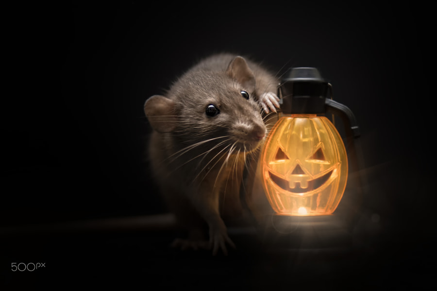 Quest / 500px - Spook-tacular: 500px Takeover