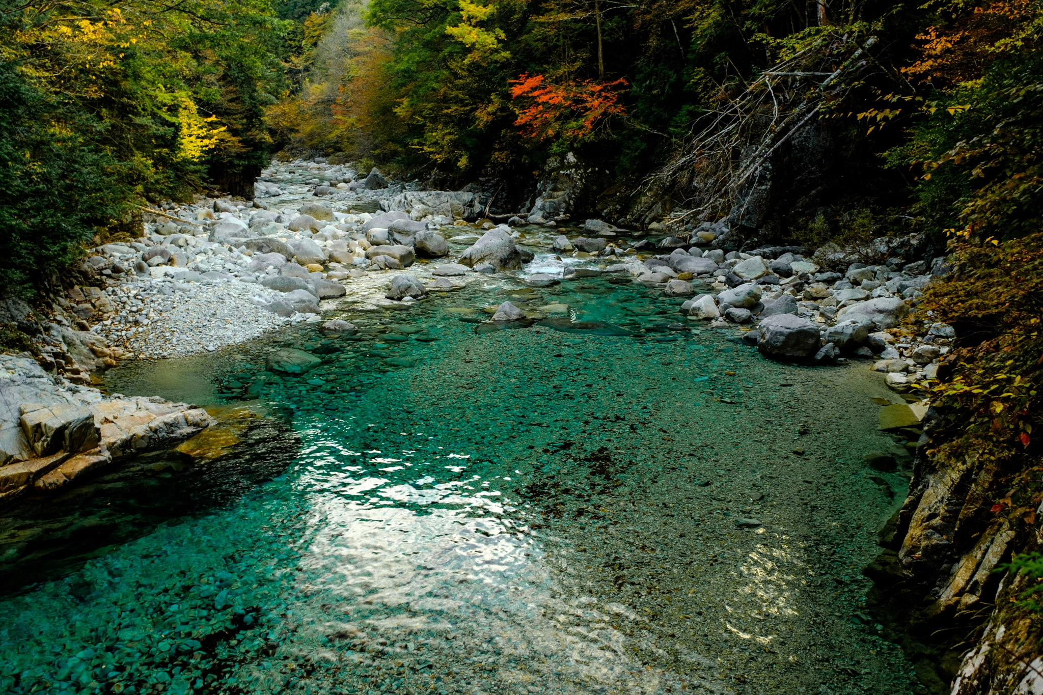 Clear Turquoise River in Forest | landscape photo by VIC SHIMAMURA | 500px