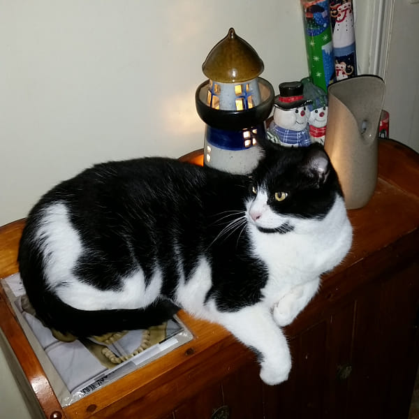 Jake from StateFarm by Charles Lowe | 500px