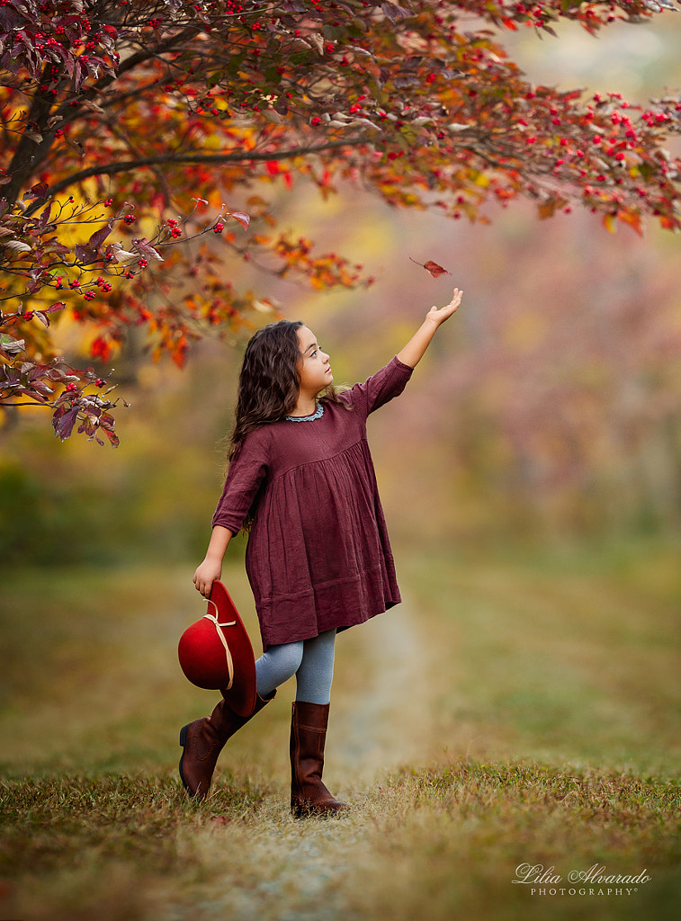 Falling into Fall like... by Lilia Alvarado Photography / 500px