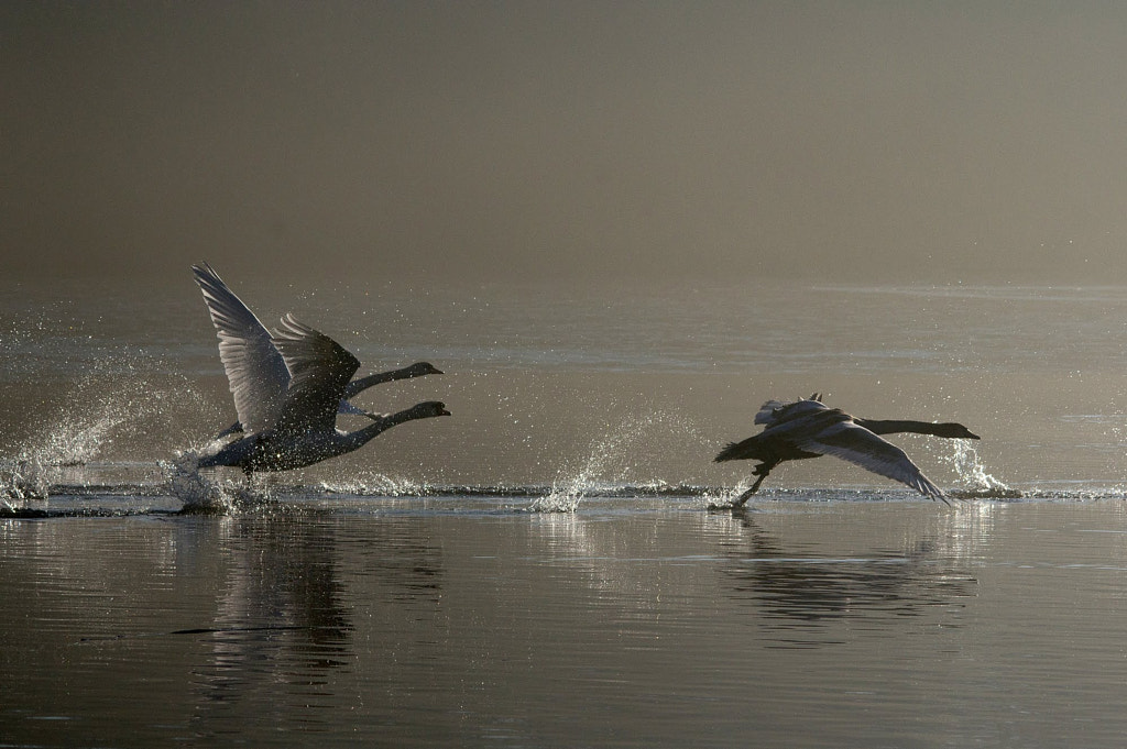 Getting away by Beauty Set Free / 500px