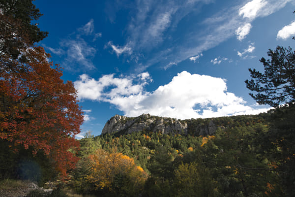 Autumn Forest Landscape with Majestic Mountain Under Blue Sky ...