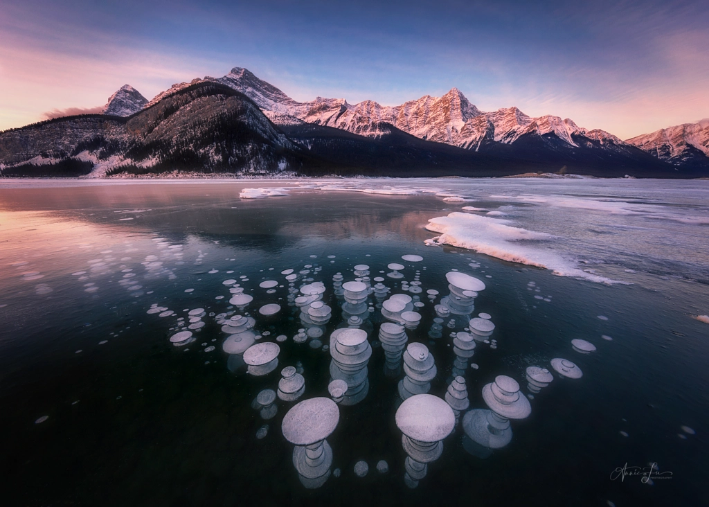 Happy New Year! by Annie Fu / 500px