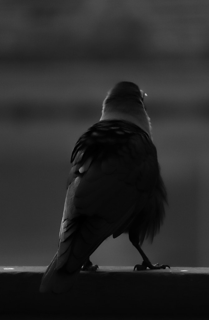 The monster was always inside you They lied it was under the bed by ...