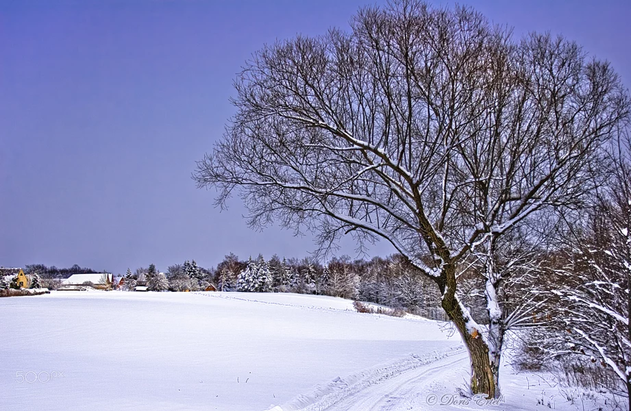 Doris Ertel (ertel_doris) Profile / 500px
