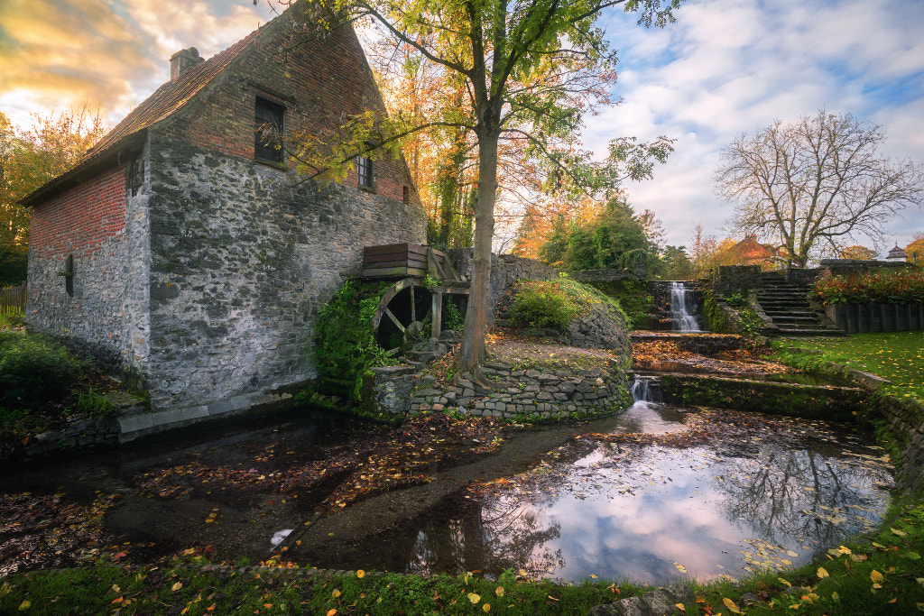 Water mill in autumn by Tomasz Spychala / 500px
