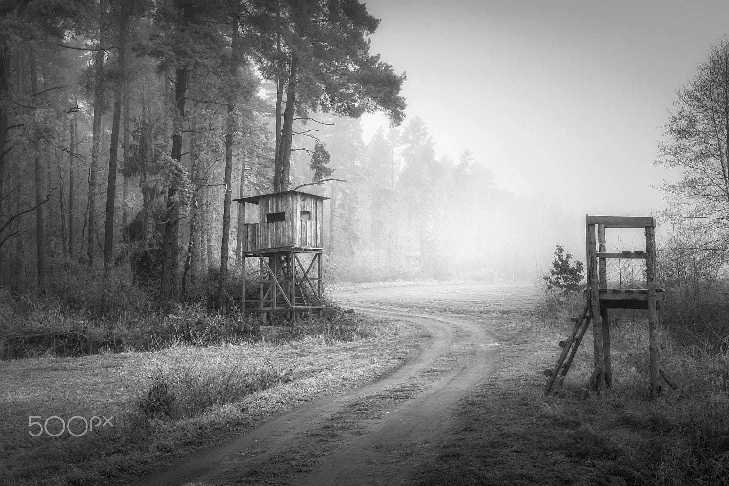 many hunters by Hans Zitzler / 500px