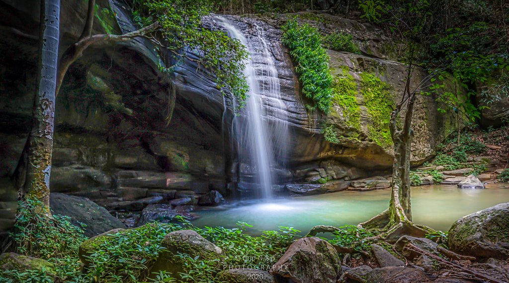 Serenity Falls, Buderim Qld by Shane Reynolds / 500px