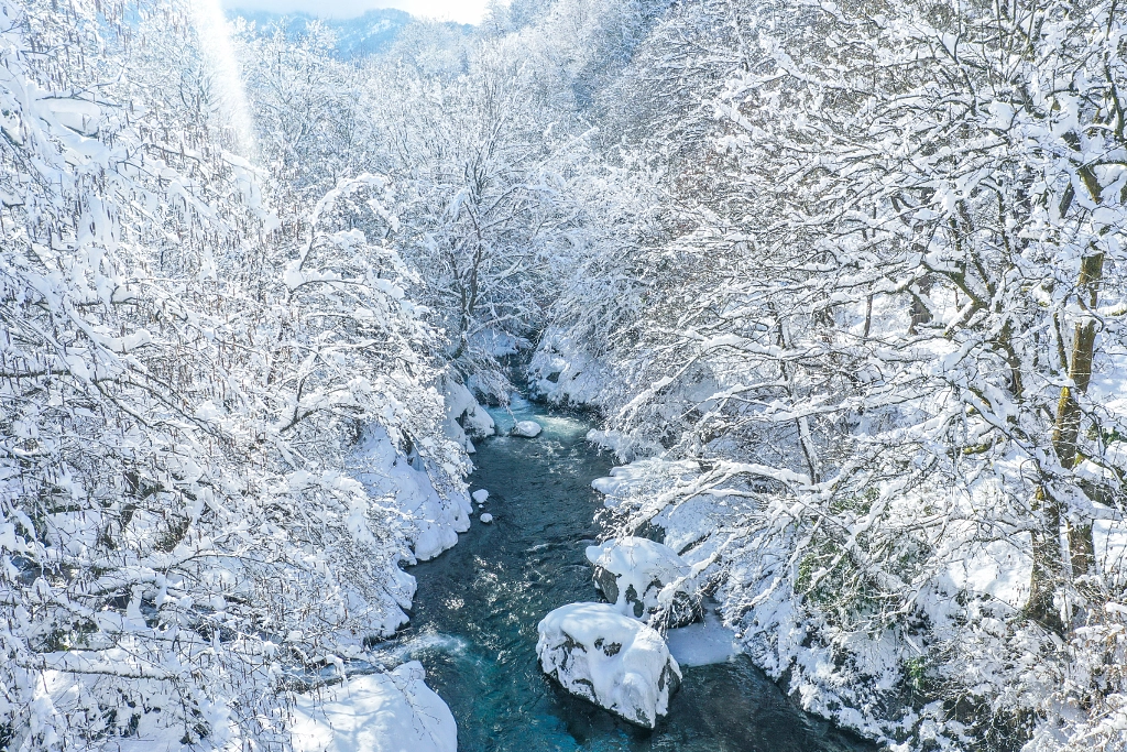 GOMI by Gio Menabde / 500px