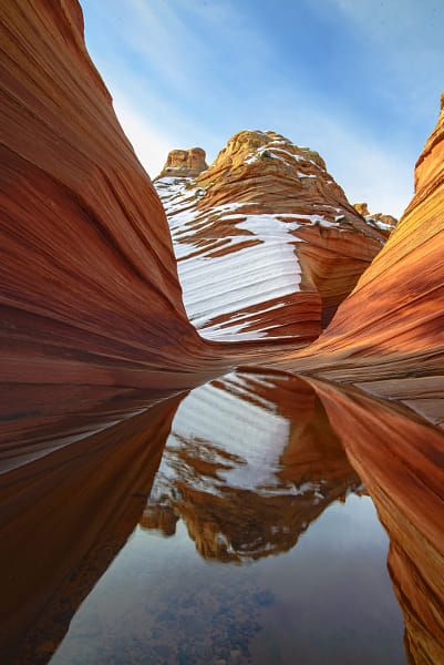 Gold Rush by Peter Coskun Nature Photography | 500px