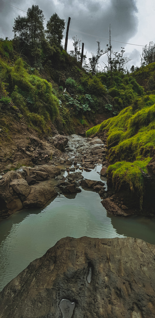 Lush Green Valley with Rocky Stream | landscape photo by Ernesto Vega ...