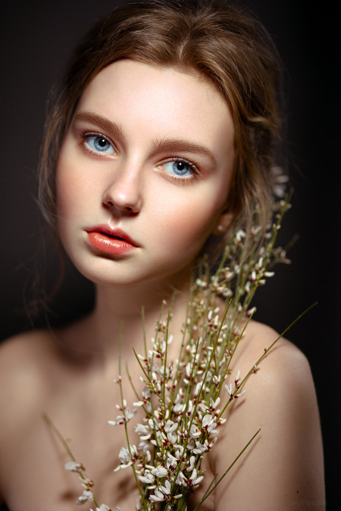 Venice by Dave Willems / 500px