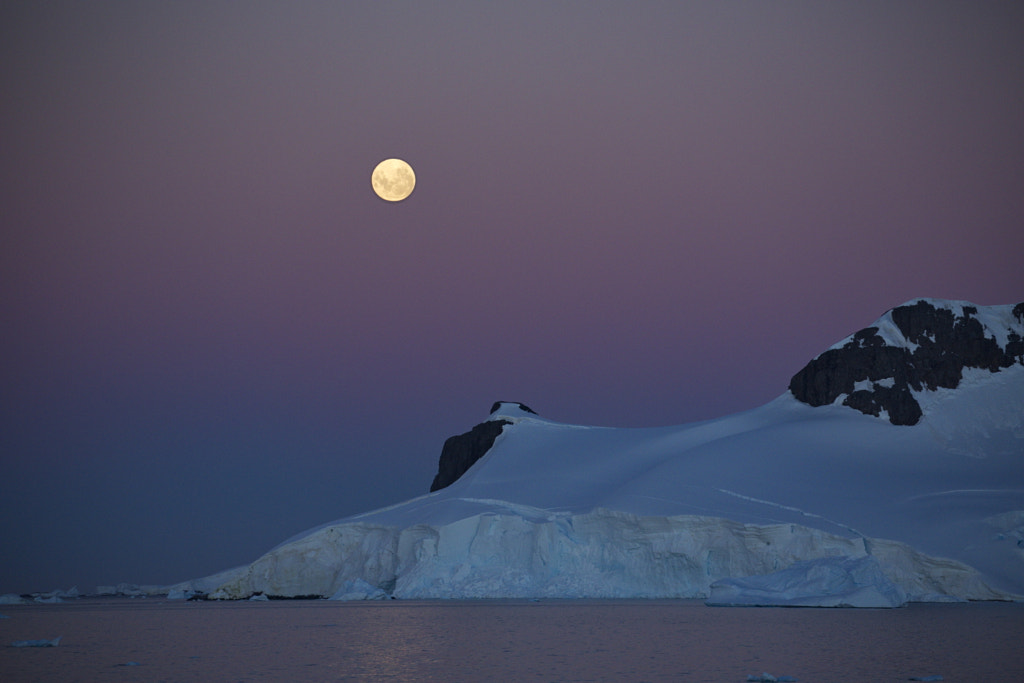 Wilhelmina Bay Moon by Greg Stringham / 500px