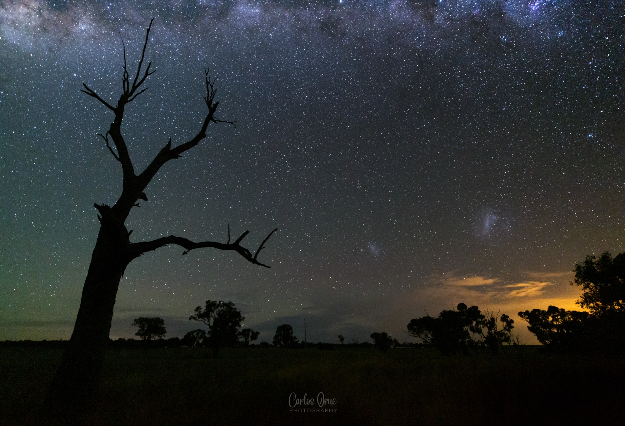 Milky Way Over a Lone Tree at Night | creative photo by Carlos Orue | 500px