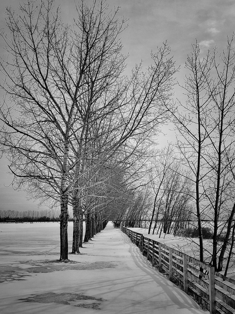 Winter in Dalmeny by Spencer Van Der Walt | 500px