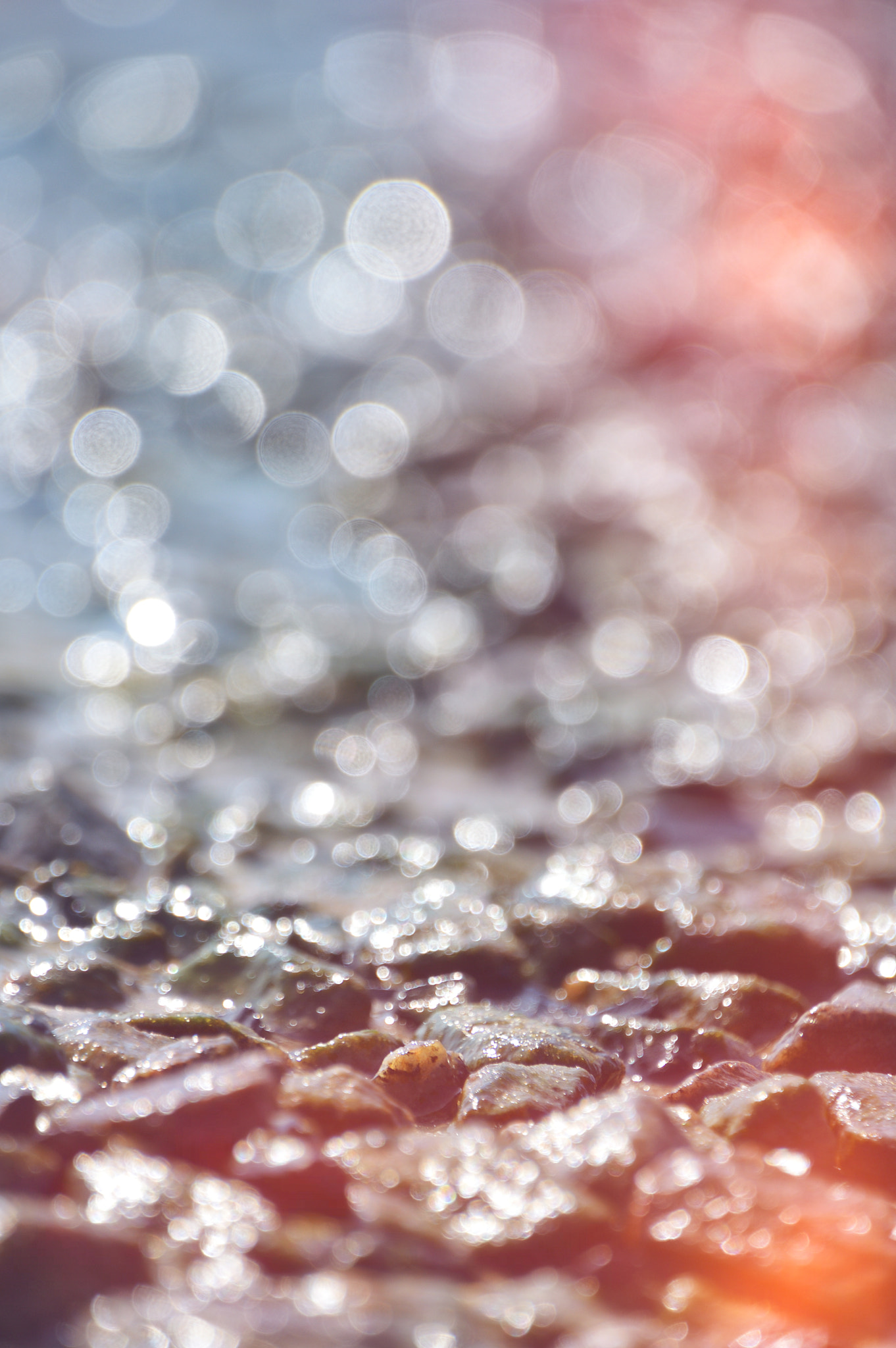Nikon D3200 samples curated by Arkadii Shapoval / 500px