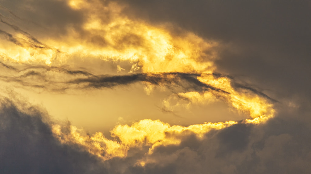 Deep Gold by J. Bispo Aragão / 500px
