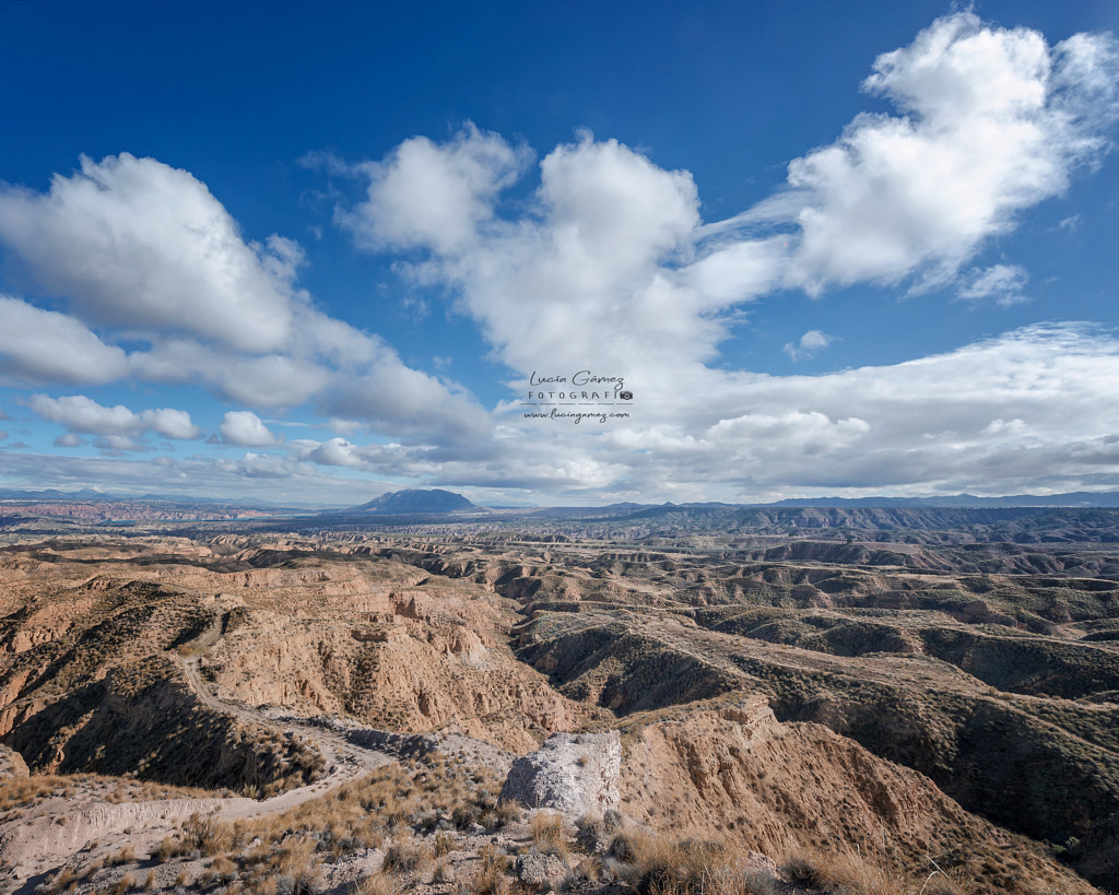 Cuando el silencio es la mejor compañia by Lucía Gámez / 500px