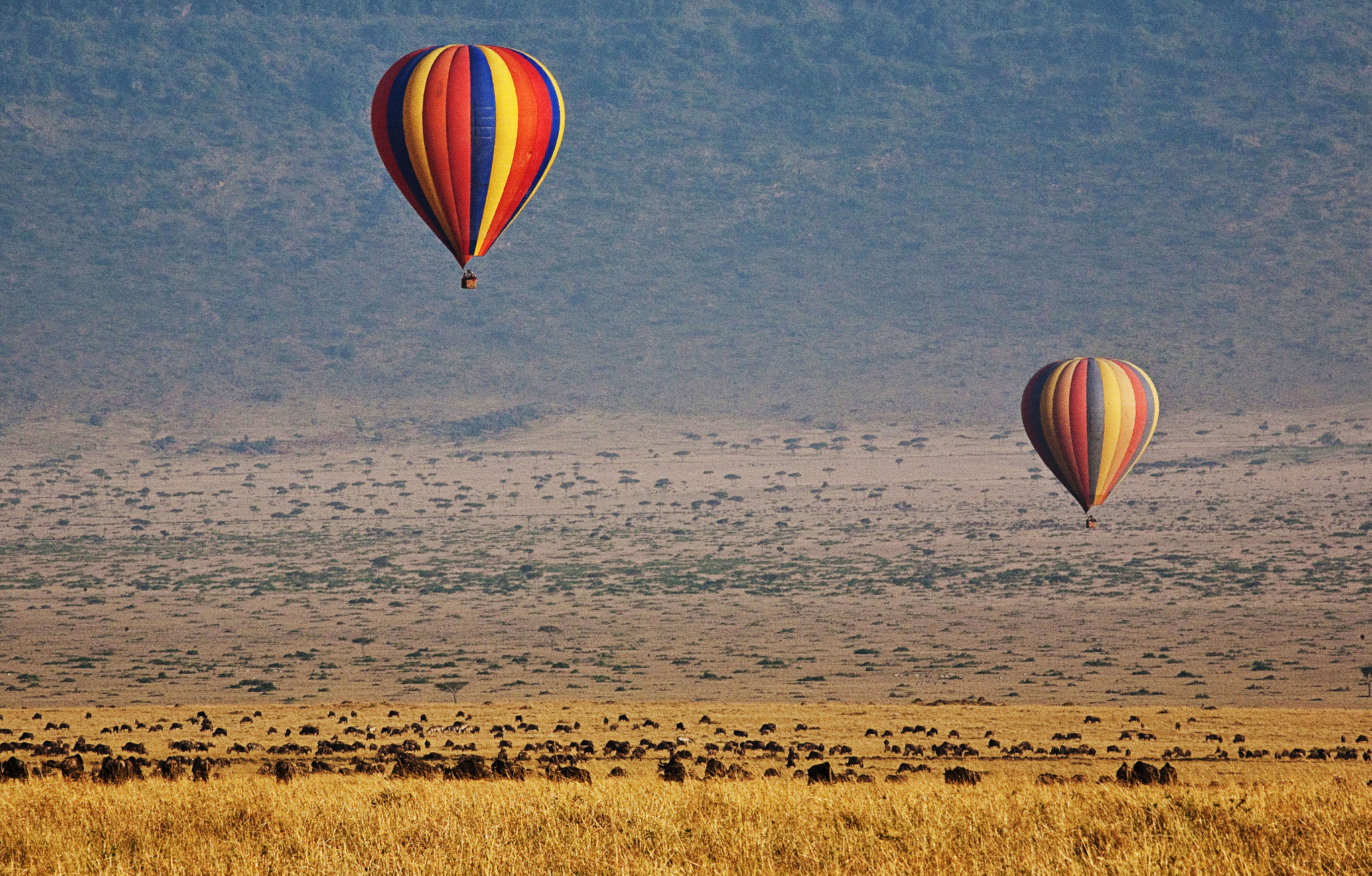 Hot Air Balloons Soaring Over African Savannah | nature photo by Taimas ...