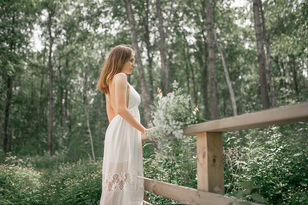 summer forrest 2 by Denis Goncharov / 500px