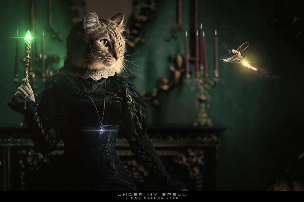 Victorian Cat by Jimmy Machon / 500px