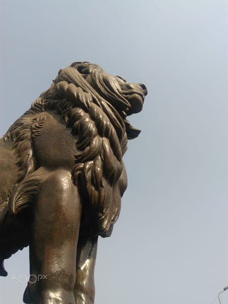 Qasr El Nile Lion, Cairo, Egypt by Amr El-Basiony | 500px