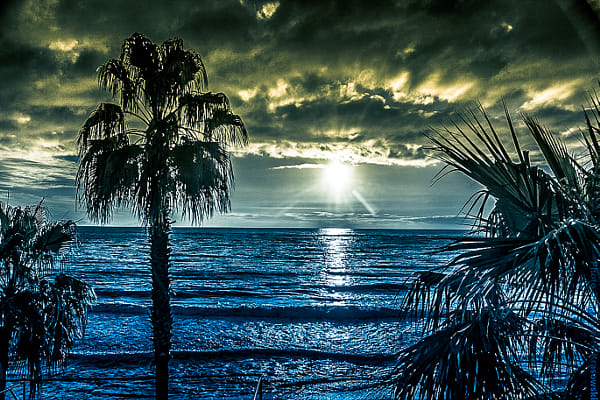 Tropical Sunset Over Ocean with Palm Trees | landscape photo by ...