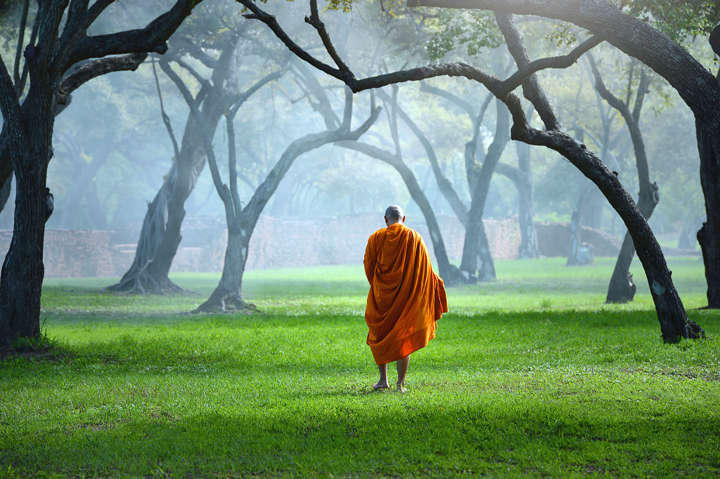 monk walking in ayudtaya world heritage on during sunrise,Thailand by ...