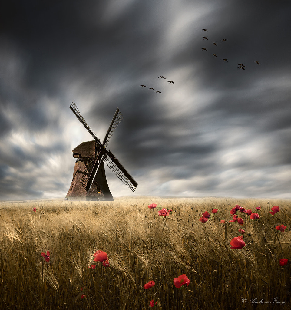 Fantasy by Andrew Fang / 500px