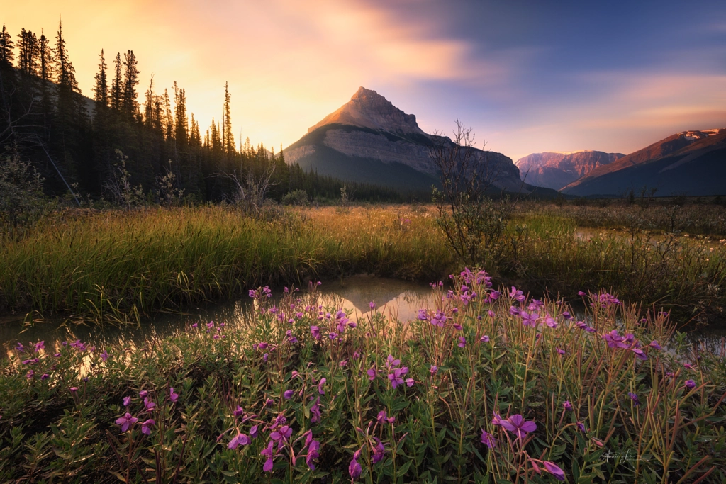 Summer Paradise by Annie Fu / 500px