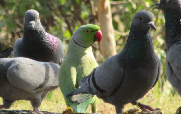 First amongst equals by ARIJIT BHATTACHARYA / 500px