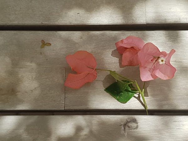 Makkah Towers by Wejdan AL Dossary | 500px