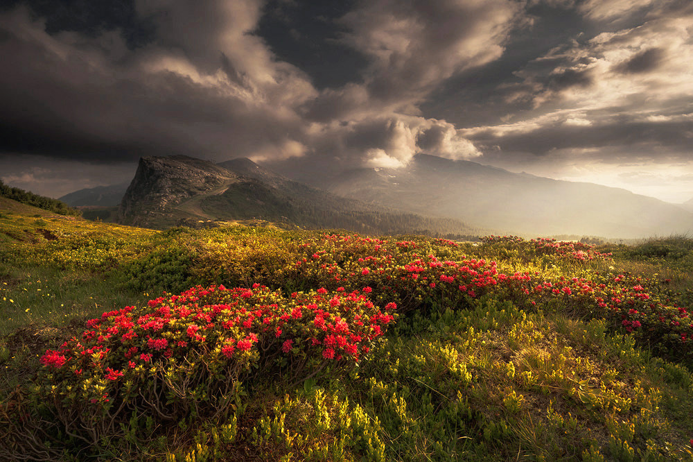 Dolomites 3D by Dino Marsango / 500px