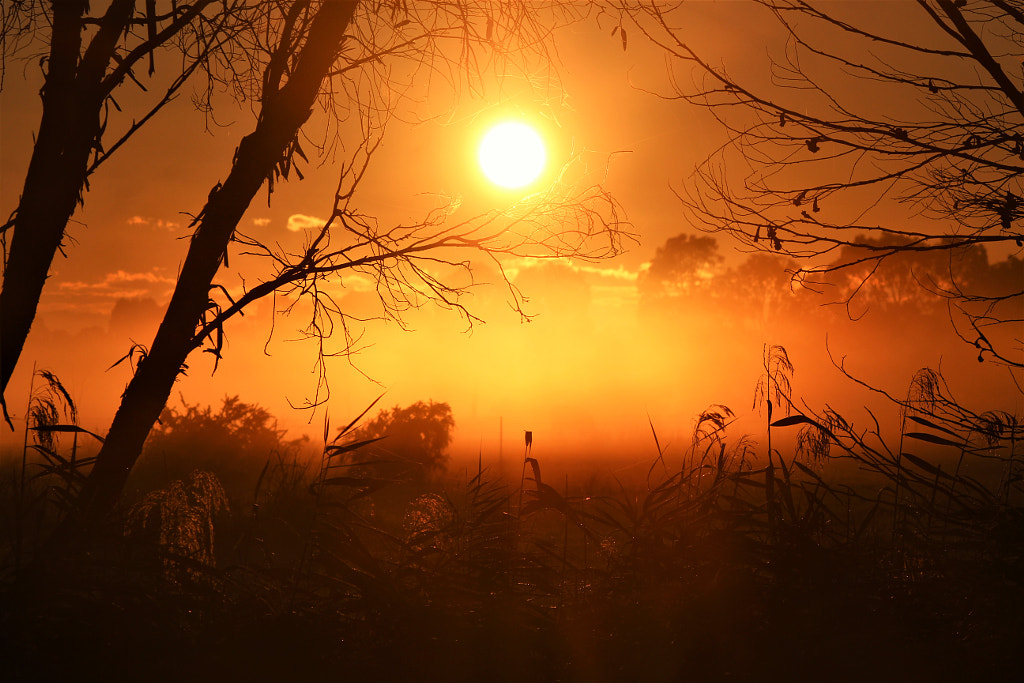 Morning Perspective! by Bruce Prothero / 500px