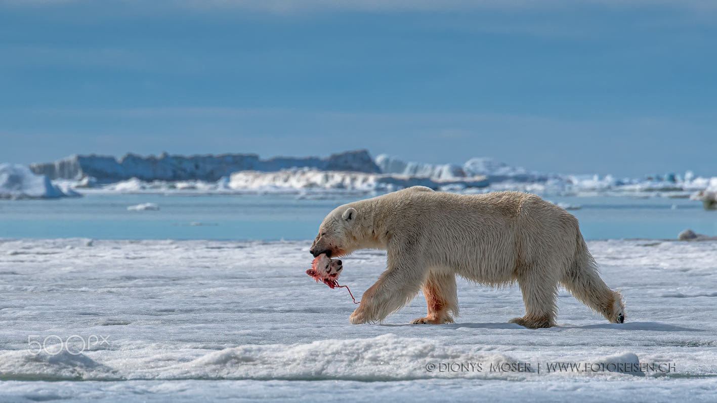 Pure Nature by Dionys Moser / 500px