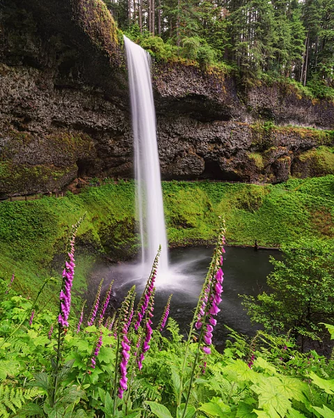 Paradise Valley by Candace Dyar | 500px