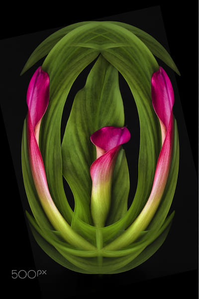 Carnival Reflection by Tom Kredo | 500px