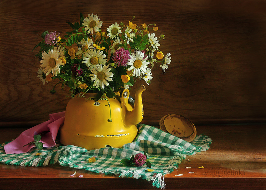 summer flowers by Yulia Pletinka / 500px