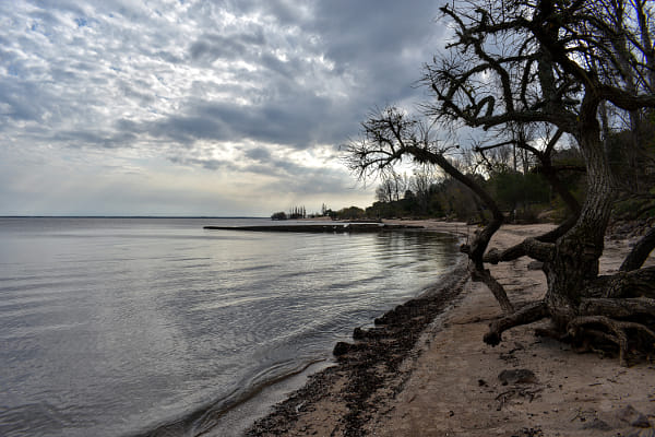 Dramatic Sky Over Serene Lake Shoreline | landscape photo by Ramiro ...