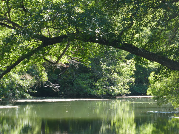 Untitled by Jean-François Tousche | 500px